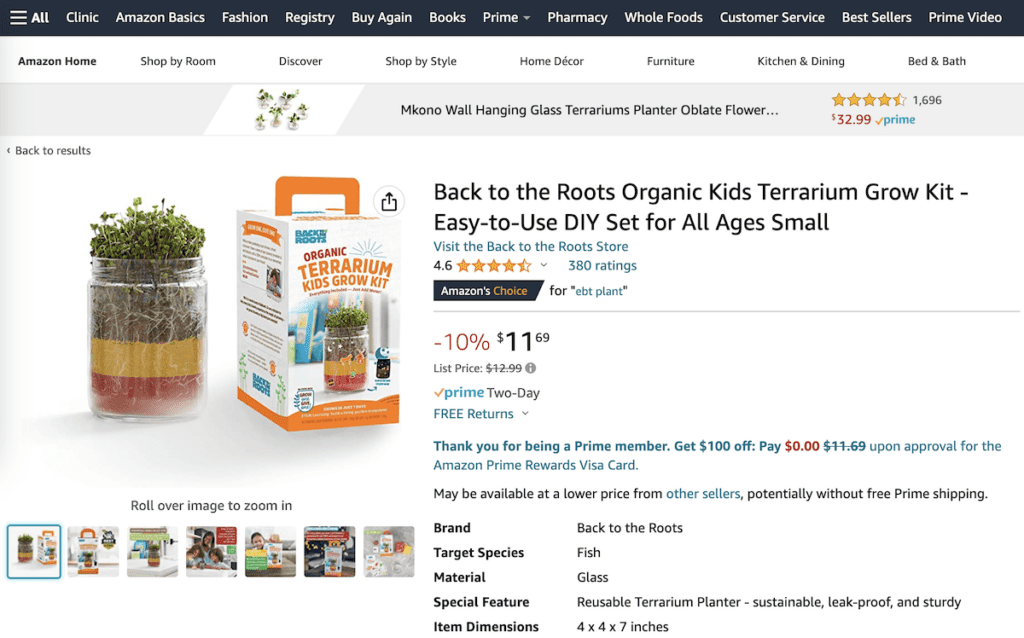 How to Use SNAP EBT on Amazon - 2025